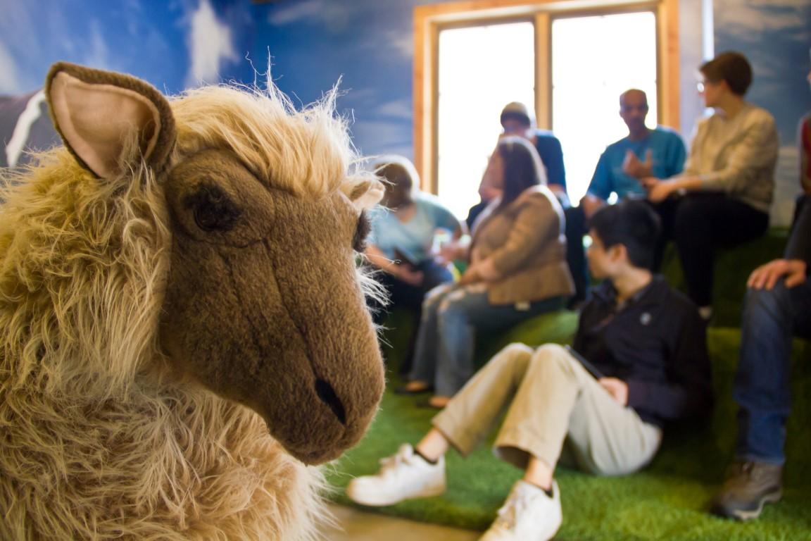 A meeting with a sheep | Epic